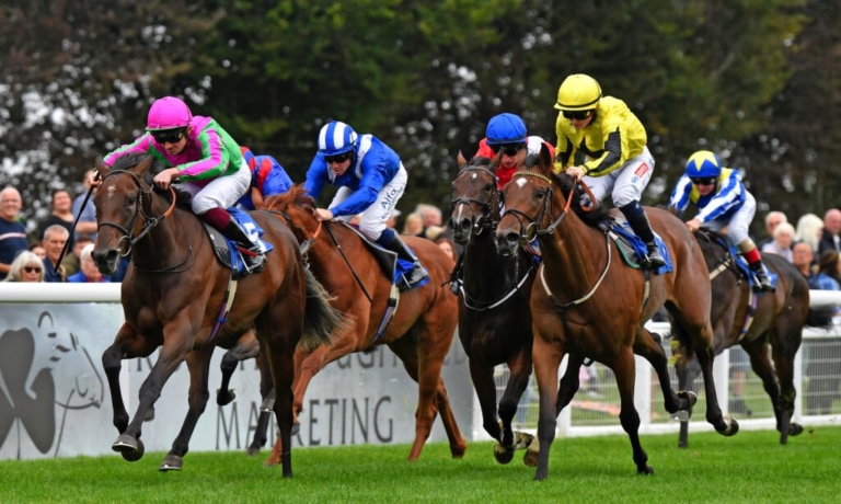 Home | Salisbury Racecourse