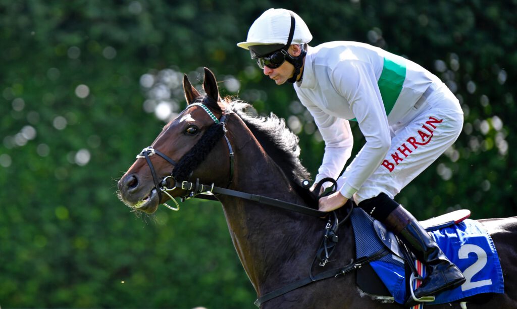 Tickets & Gift Vouchers | Salisbury Racecourse