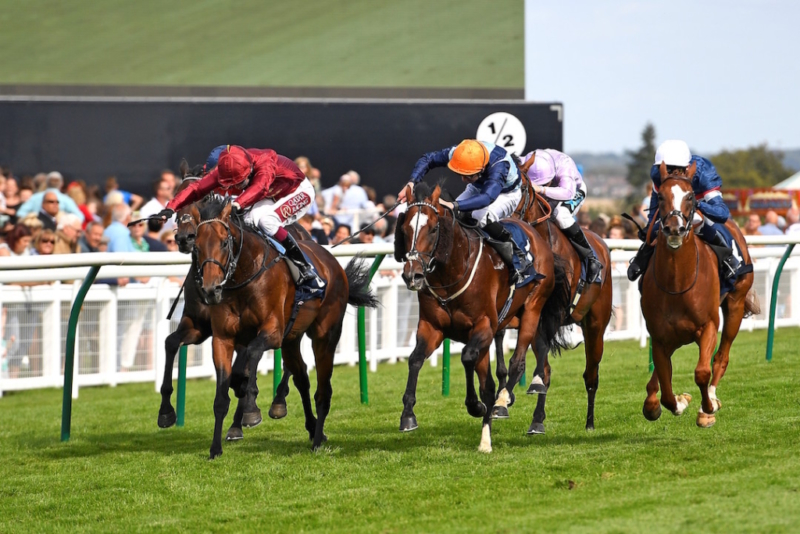 Going Reports | Salisbury Racecourse