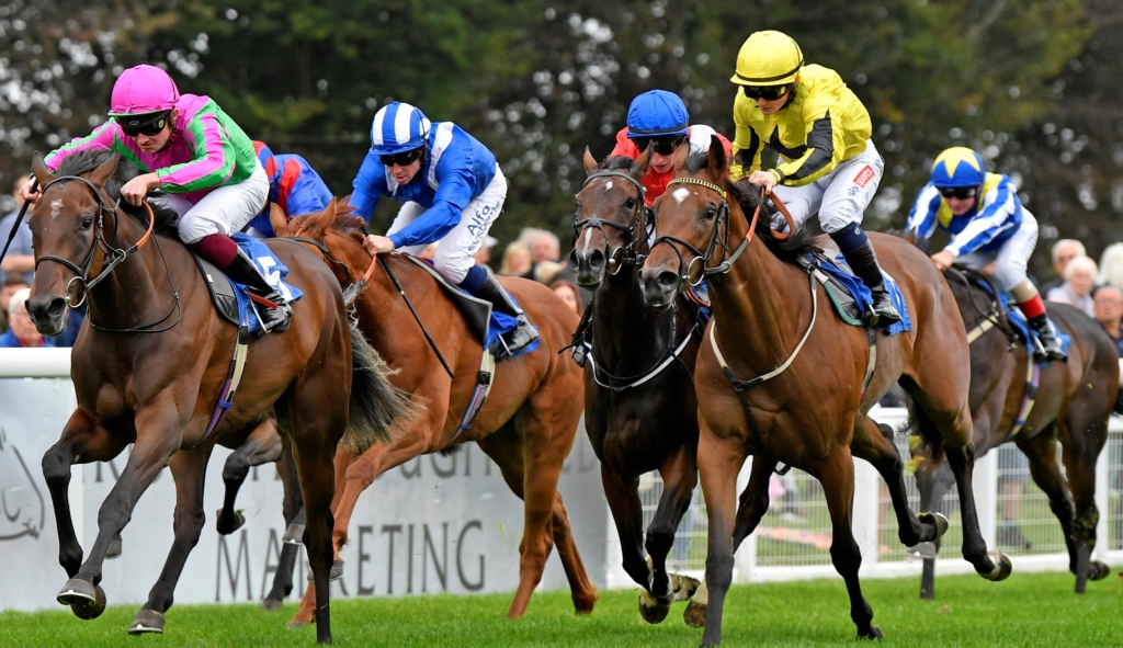 Salisbury Racecourse | Racing, Events and more