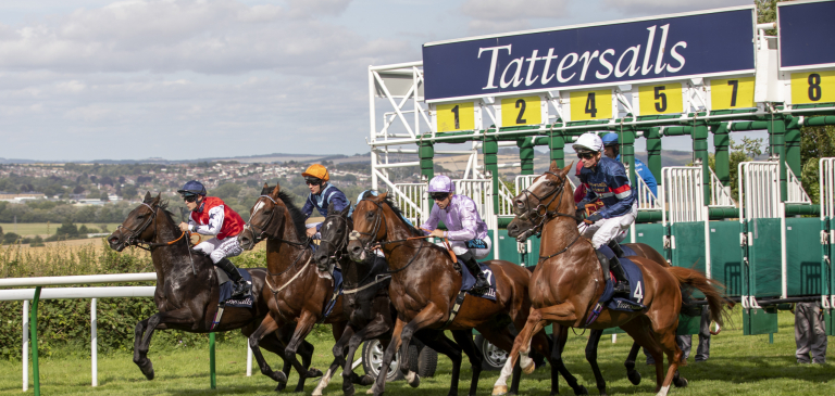 Summer Holiday Racing & Tattersalls Sovereign Stakes Day | Salisbury ...