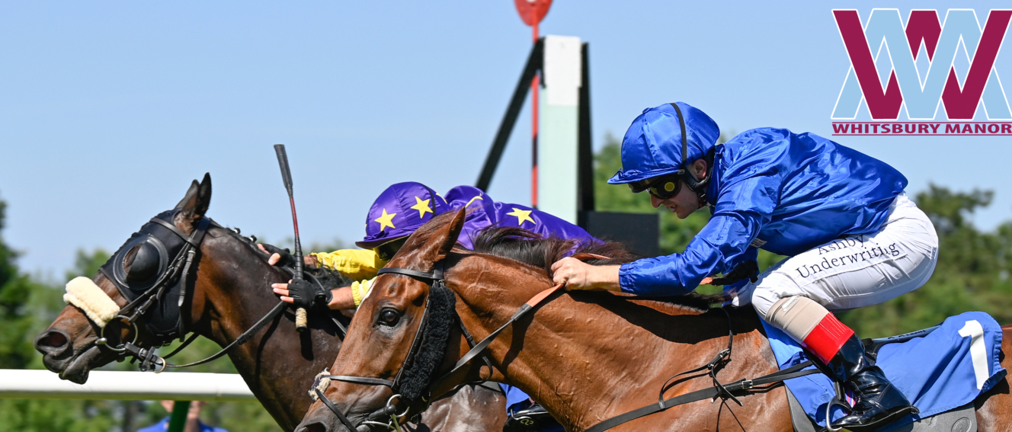 Whitsbury Manor Stud Bibury Cup Day | Salisbury Racecourse