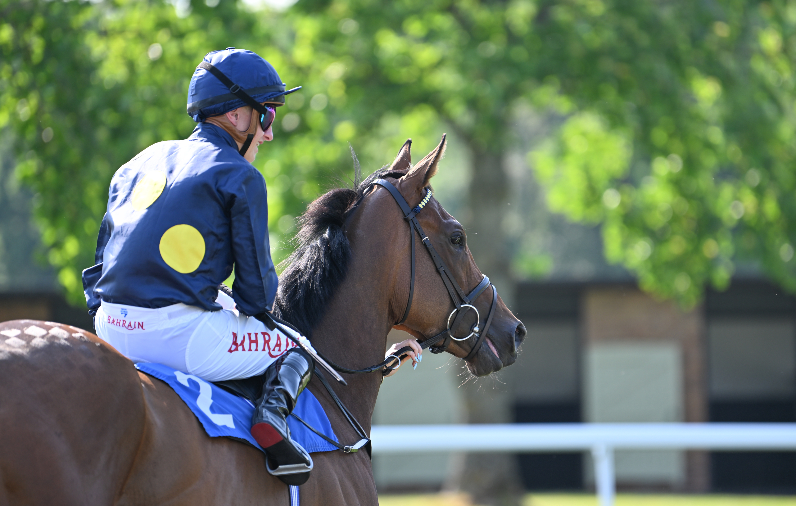 About | Salisbury Racecourse
