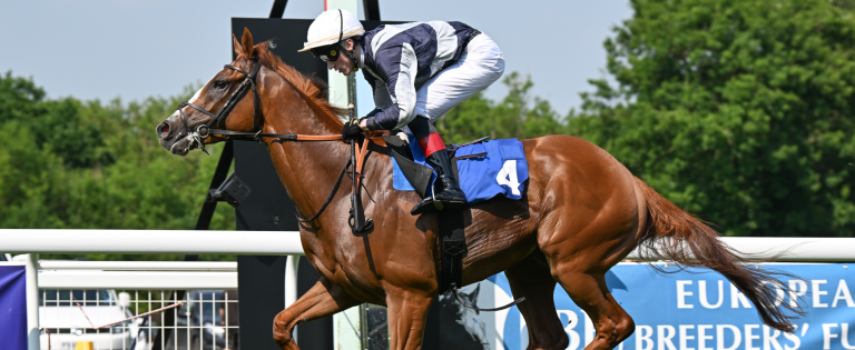 Salisbury Racecourse | Racing, Events and more