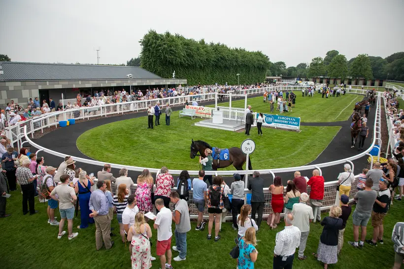 Season Finale | Salisbury Racecourse