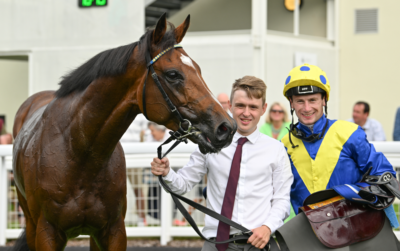 Summer Holiday Racing – Second Day | Salisbury Racecourse