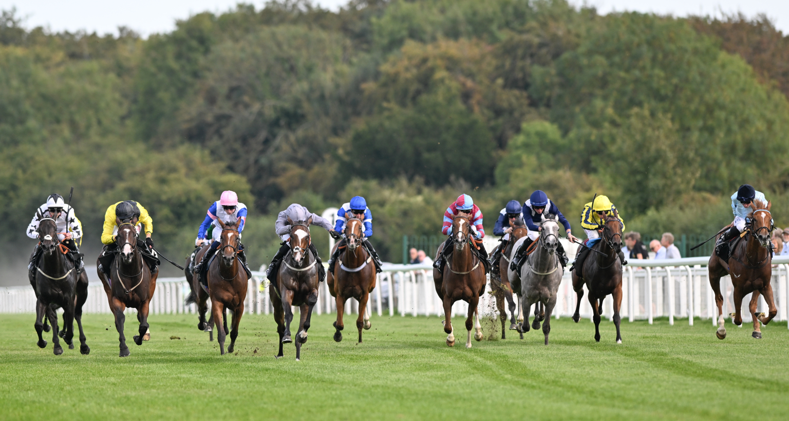 RACING ABANDONED! | Salisbury Racecourse