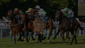 Salisbury Racecourse | Racing, Events and more