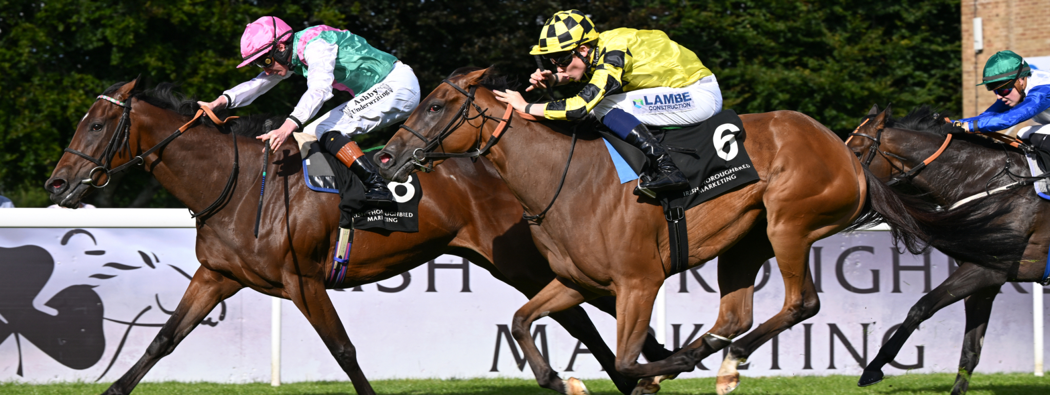 Events | Salisbury Racecourse